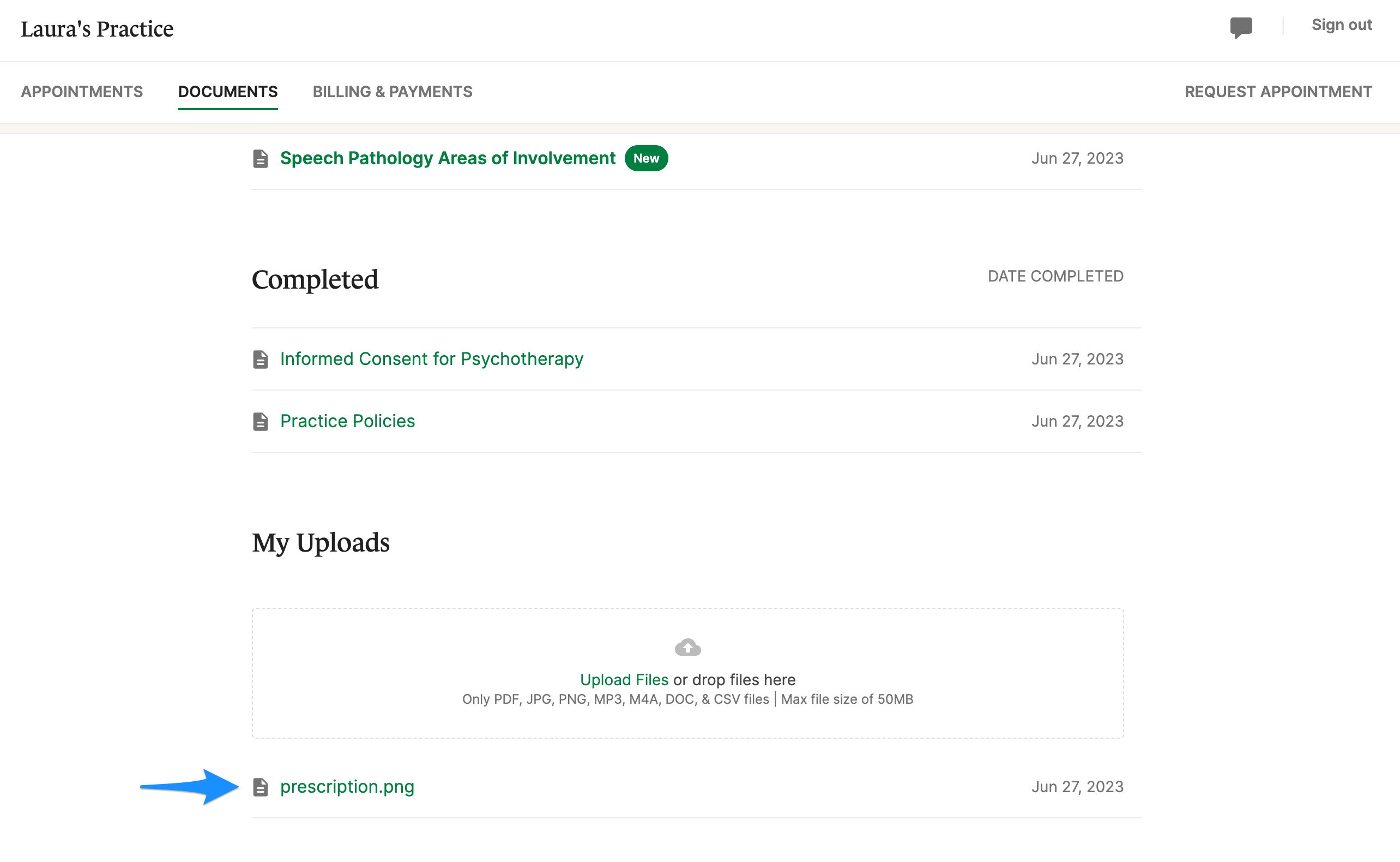 Setting up the Client Portal – SimplePractice Support