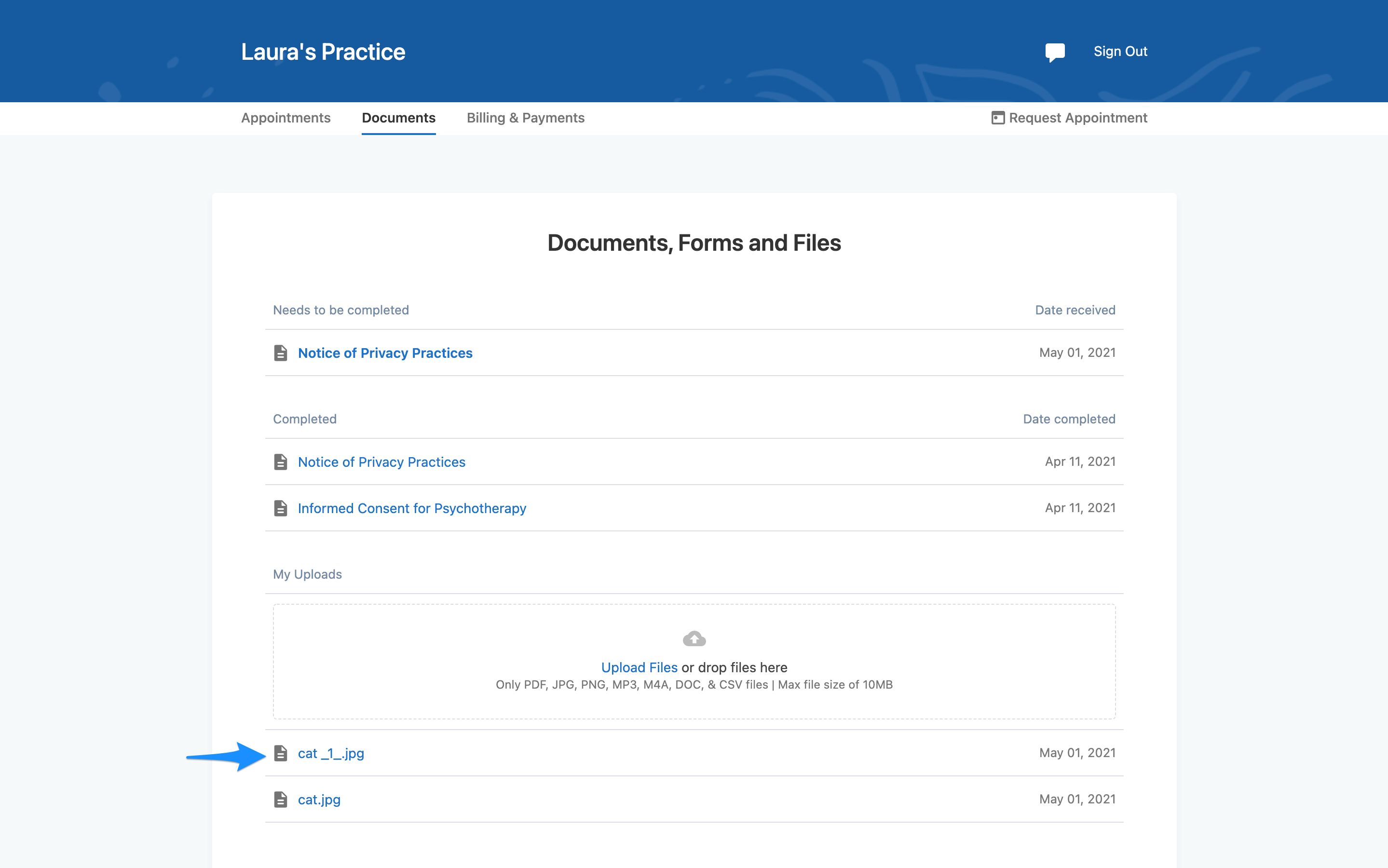 Setting up the Client Portal – SimplePractice Support