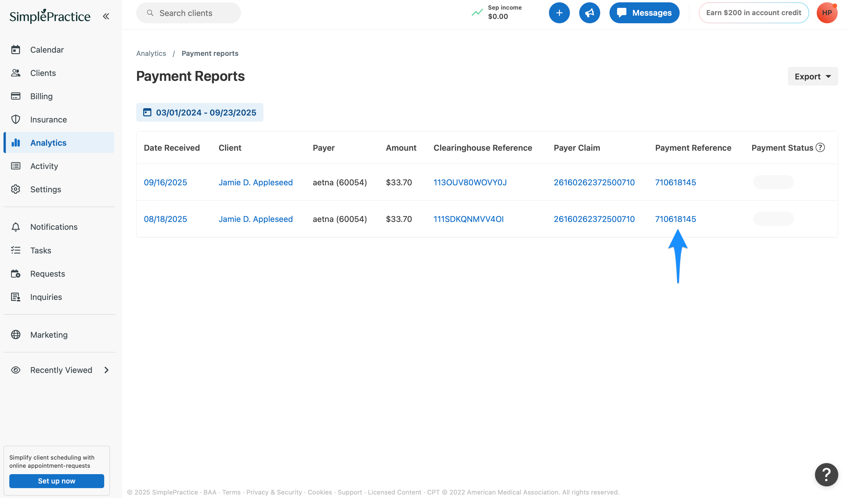 Understanding your insurance reports – SimplePractice Support
