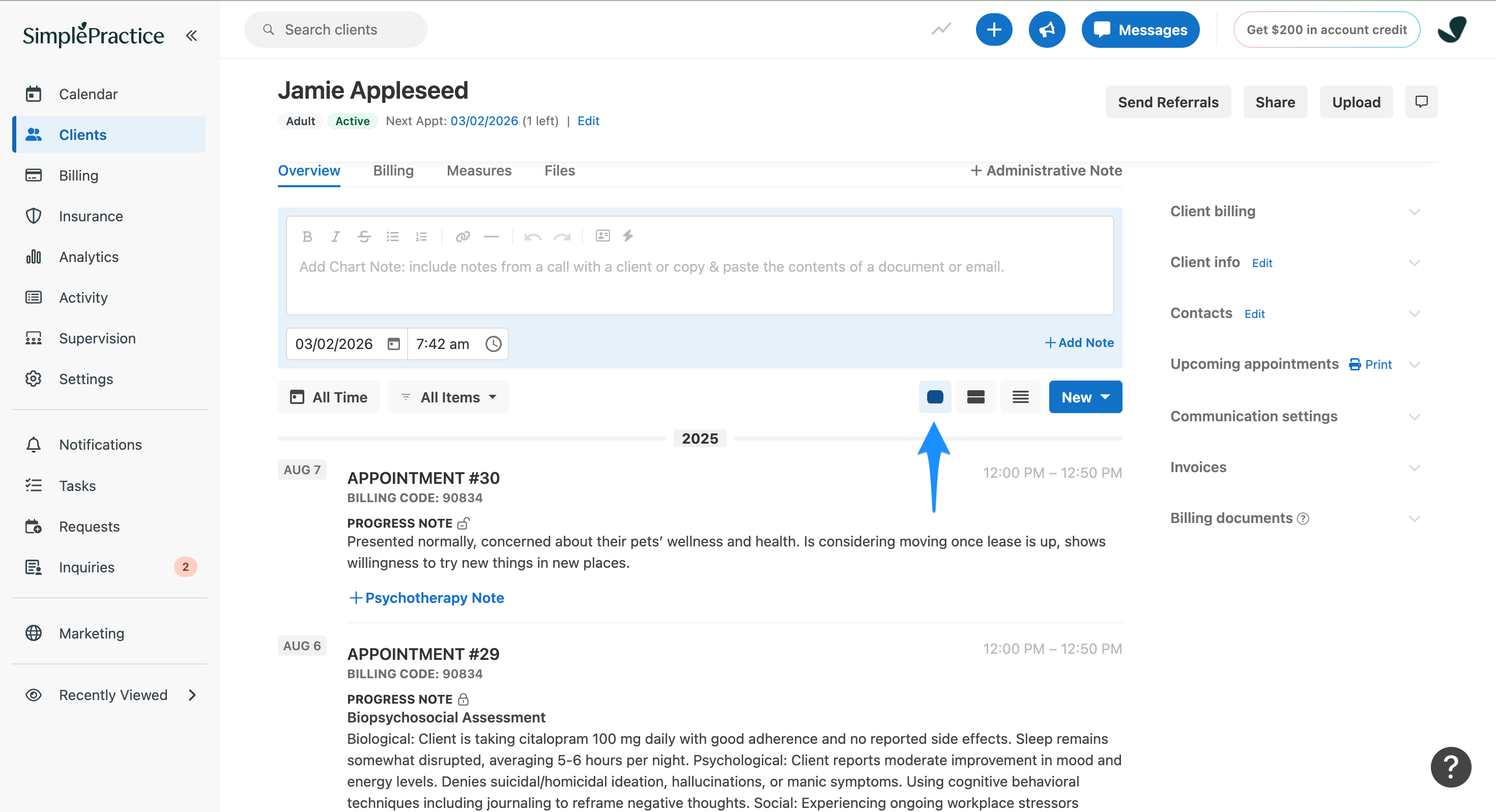 Navigating the client Overview page – SimplePractice Support