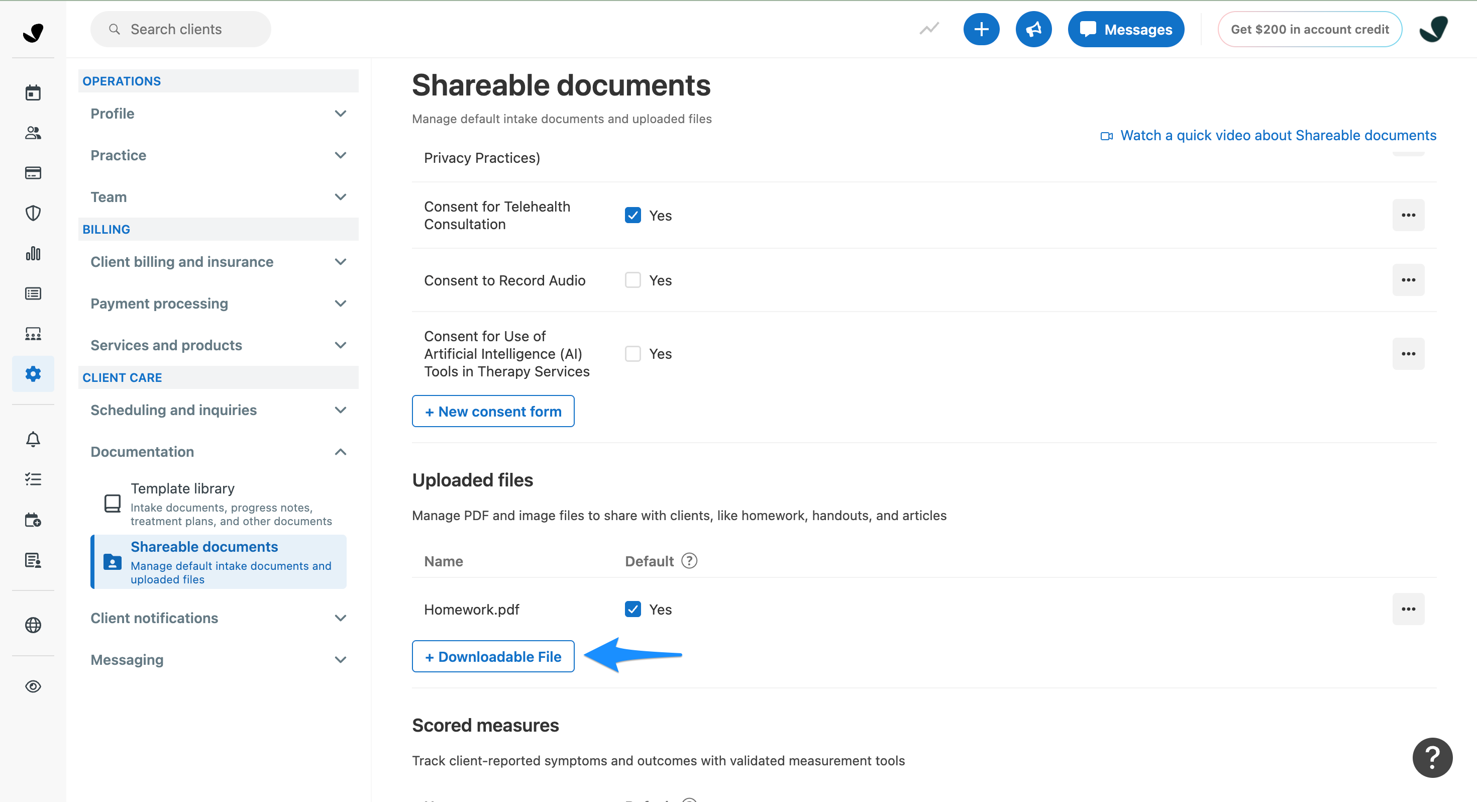 Managing uploaded files – SimplePractice Support